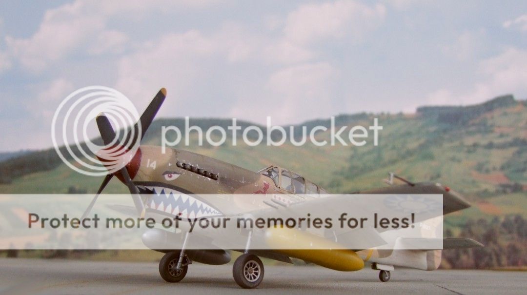 Swanny's Models - Republic American P-49 Mustang