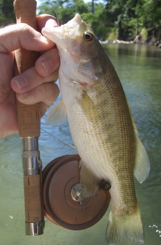 Milward Flycraft | Classic Fly Reels | Fiberglass Flyrodders