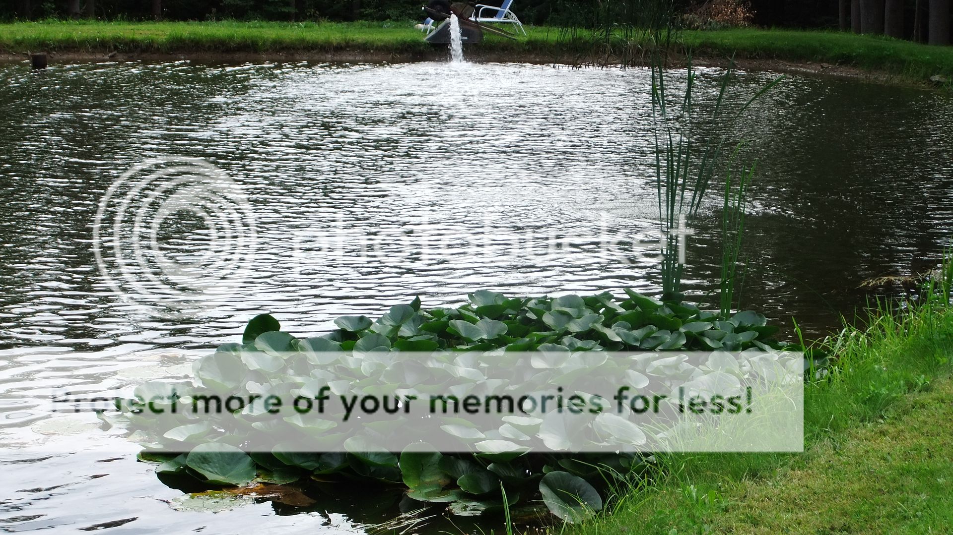 So, I bought a cool tool for my pond. | Garden Pond Forums