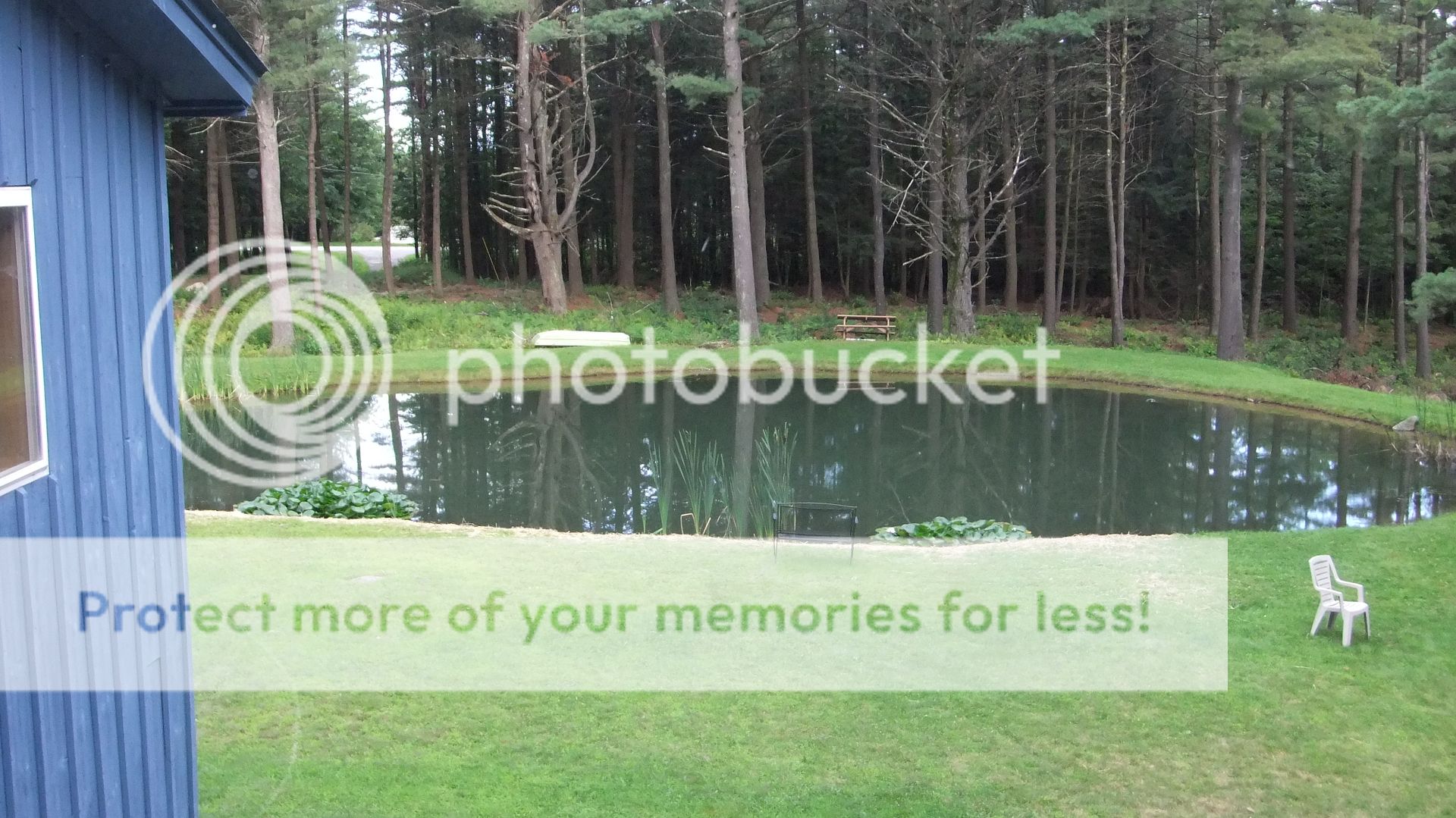 I lost one of my trout ponds! | Garden Pond Forums