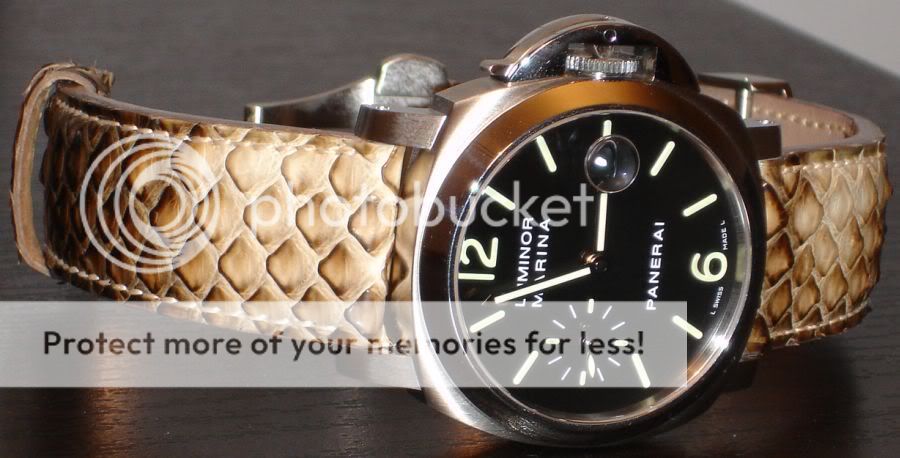 Officine Panerai - Missed my python