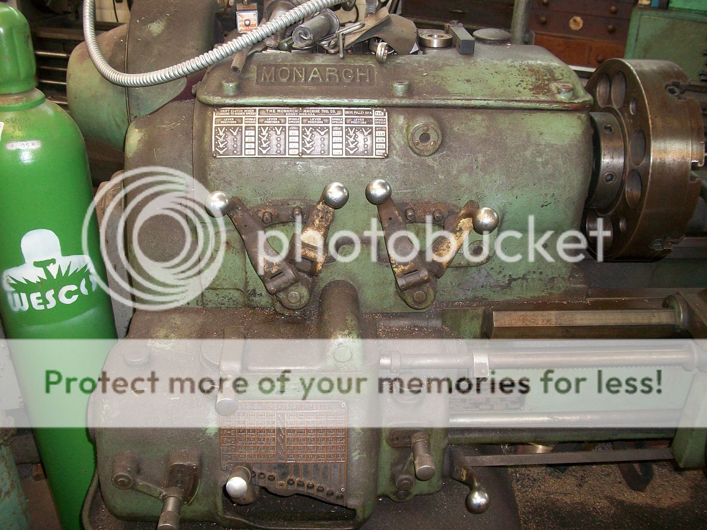 Help me identify my Monarch