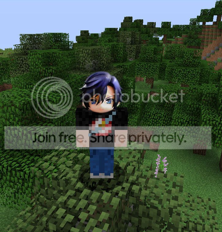 Anime Head Mod - Requests / Ideas For Mods - Minecraft Mods - Mapping ...