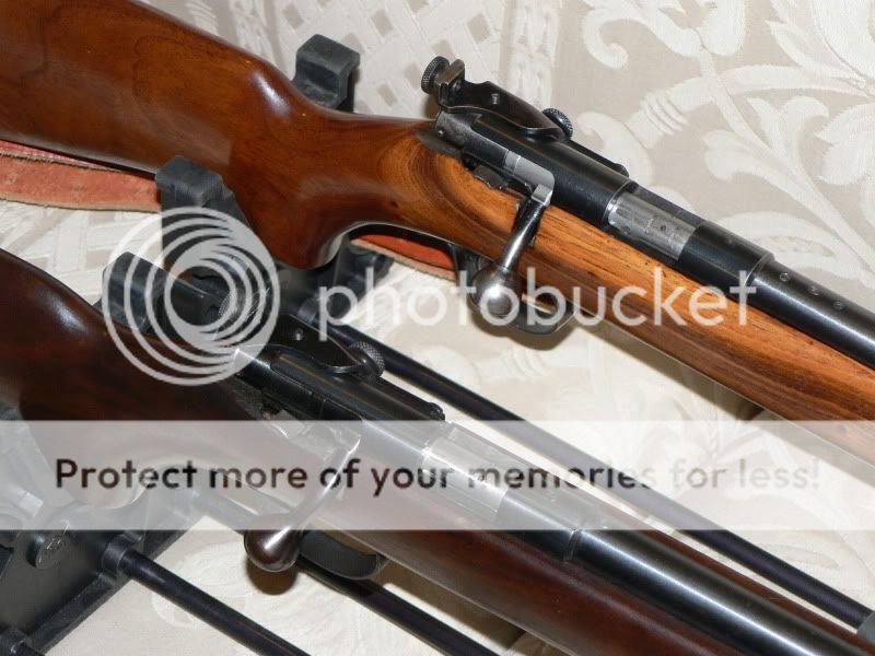 Bolt action for Appleseed? | Rimfire Central Firearm Forum