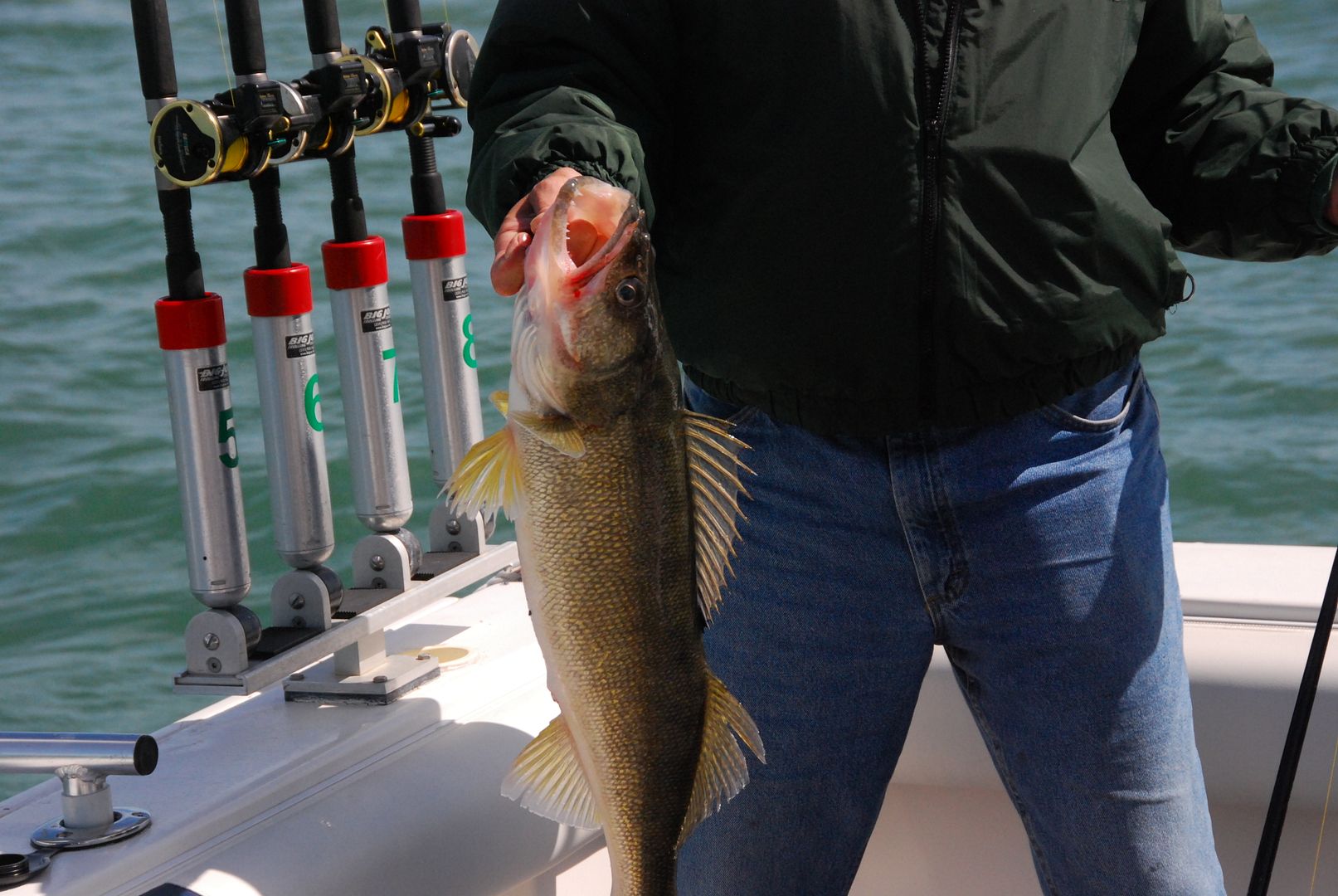 A Truly Incredible Day of Walleye Fishing | Indiana Gun Owners - Gun ...