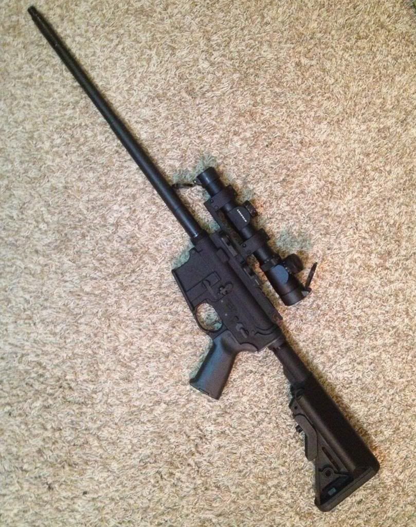 Lets see your semi-auto precision rifles(Pics) > Semi-Auto Rifles ...