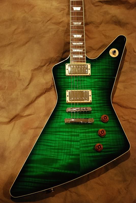 hamer standard custom. anyone have one? | The Gear Page