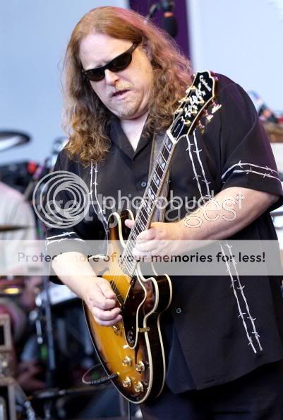 who here knows all about warren haynes gear ? help ! - Amps - Harmony ...