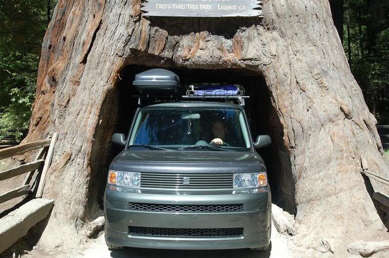 Best bike rack for Scion XB