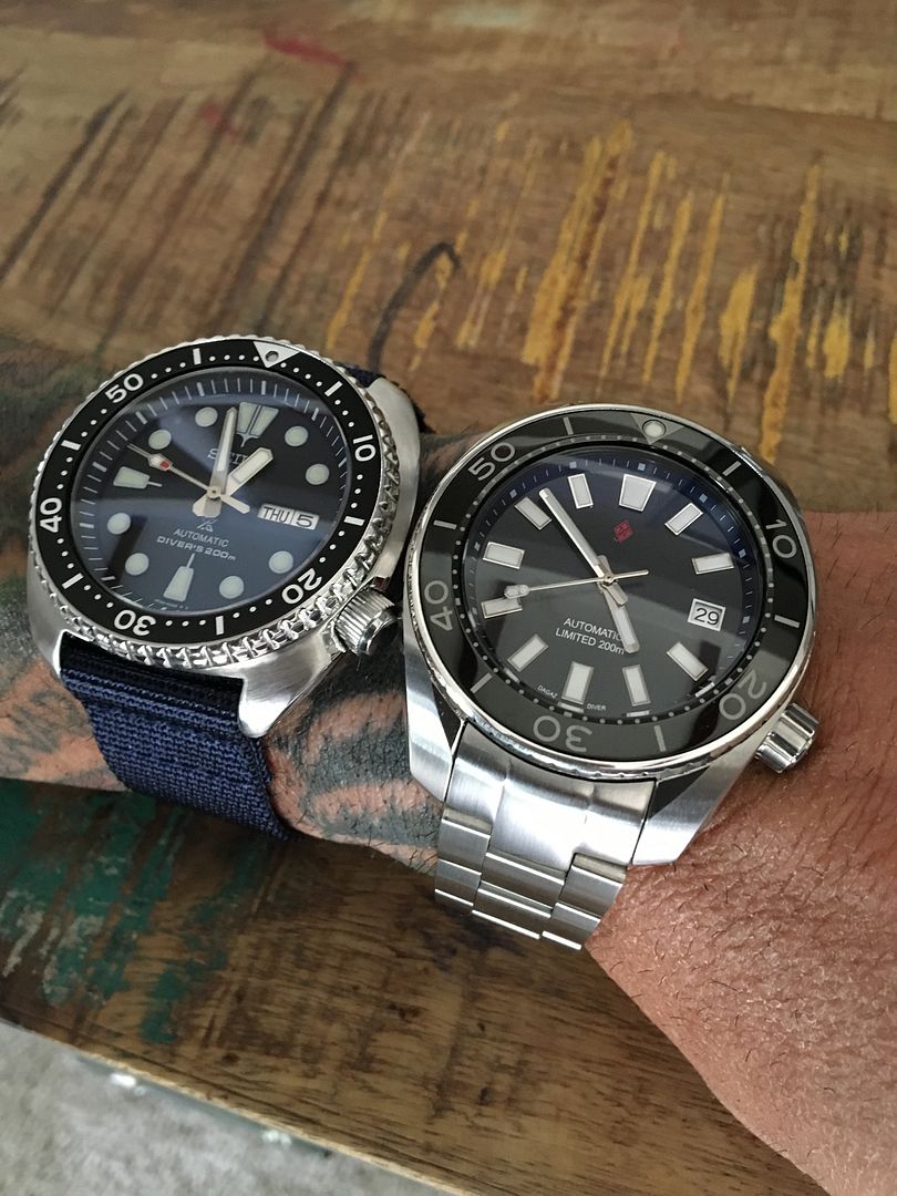 For fun... SRP Turtle vs. Sumo... Which one? | Page 4 | WatchUSeek ...