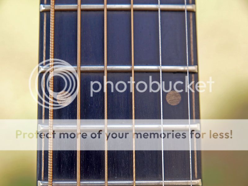 NGD - Bedell TB-18-G gorgeous spruce/sapele dreadnought! (pics inside ...