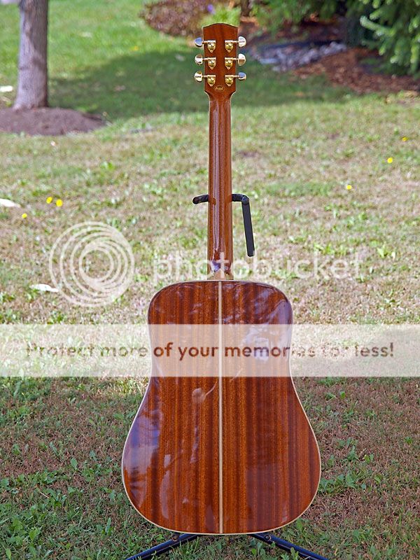 NGD - Bedell TB-18-G gorgeous spruce/sapele dreadnought! (pics inside ...