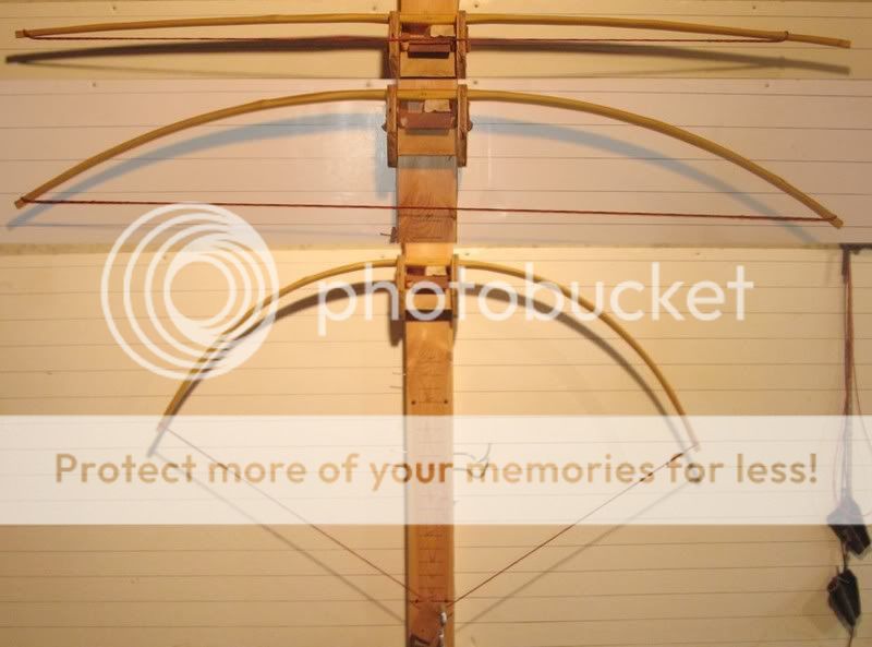 Best wood in East Texas to make self bow | Archery Talk Forum