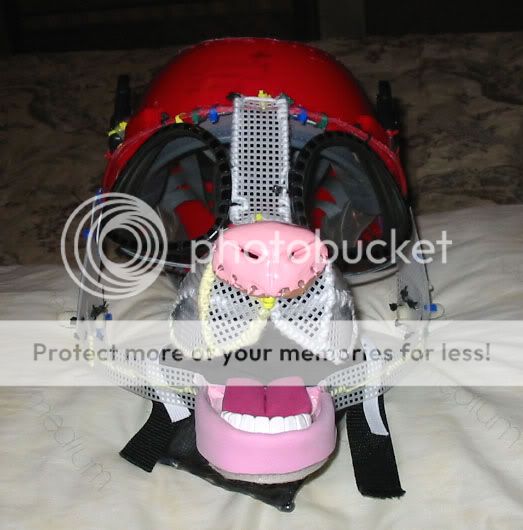 First Fursuit Project: fursuit — LiveJournal