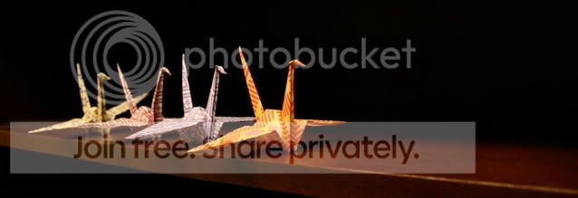 the thousand paper crane project