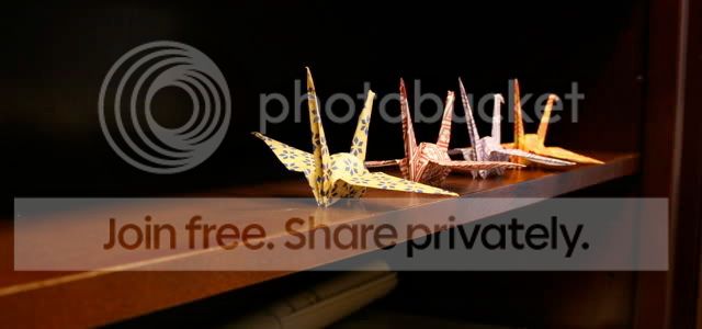 the thousand paper crane project