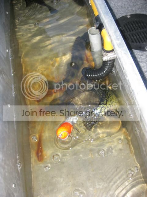 Ice Out Fishing | Aluminum Boat & Jon/V Boat Discussion Forum