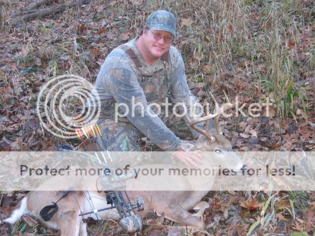 NAP Shockwave | Archery Talk Forum