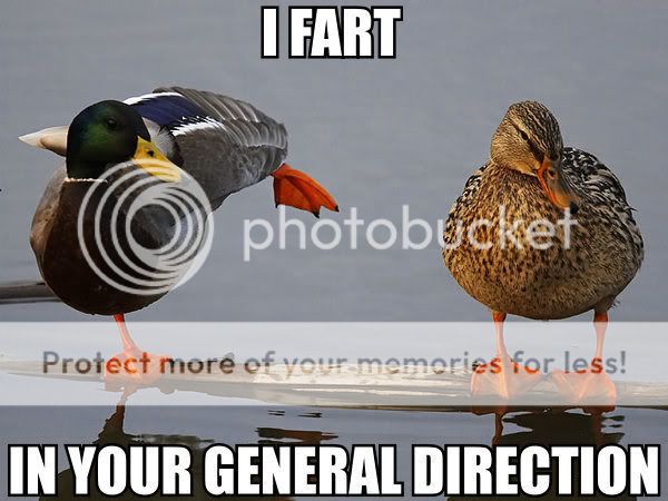 Post your bird macros!: bird_snark — LiveJournal