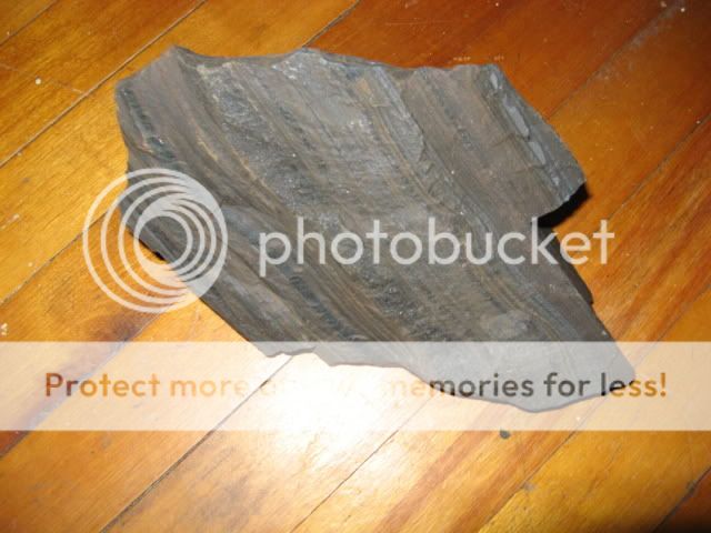 Anyone Interested in Purchasing Rocks? | The Planted Tank Forum