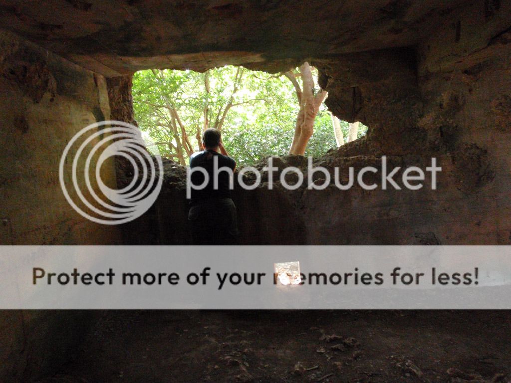 Saipan World War II remnants: rural_ruin — LiveJournal