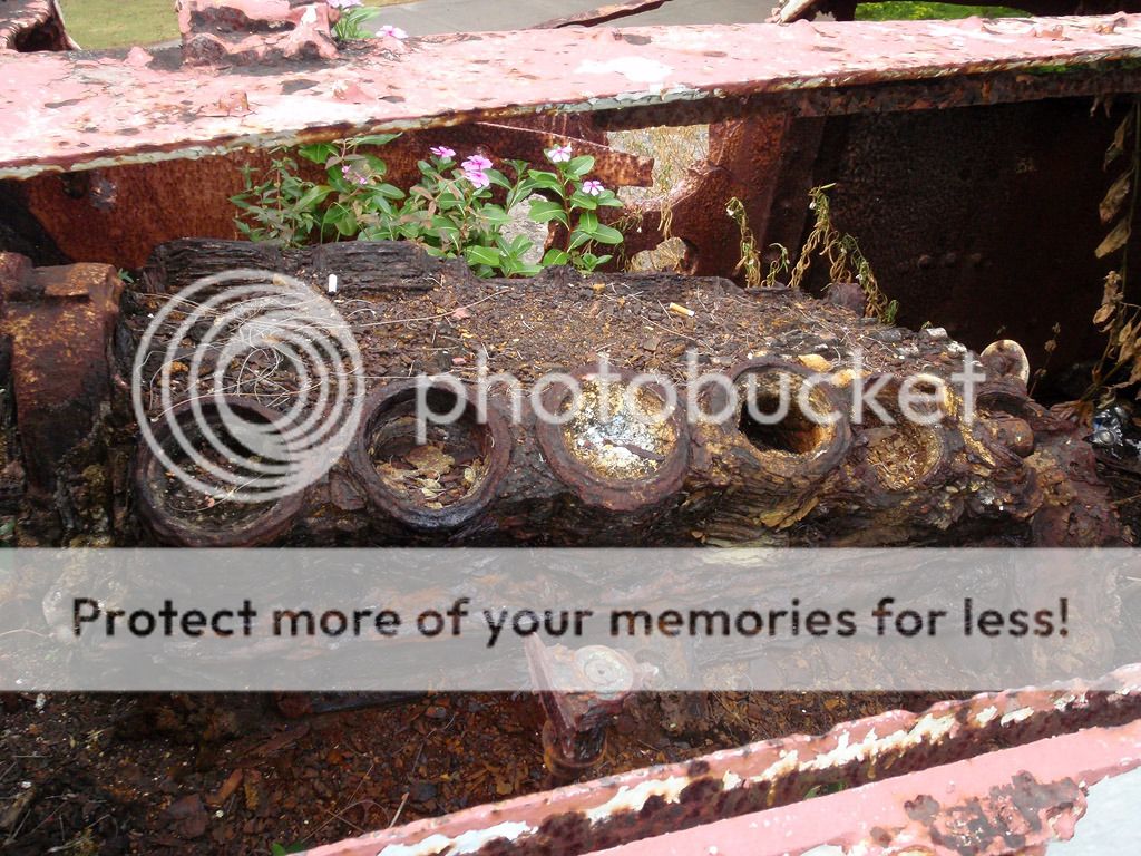 Saipan World War II remnants: rural_ruin — LiveJournal