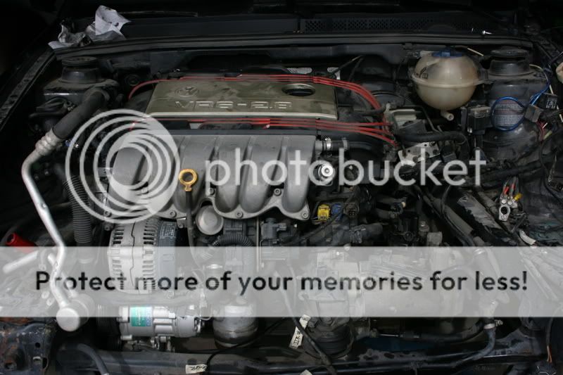 TheSamba.com :: Reader's Rides - View topic - My 1968 Bug VR6 Buildup.