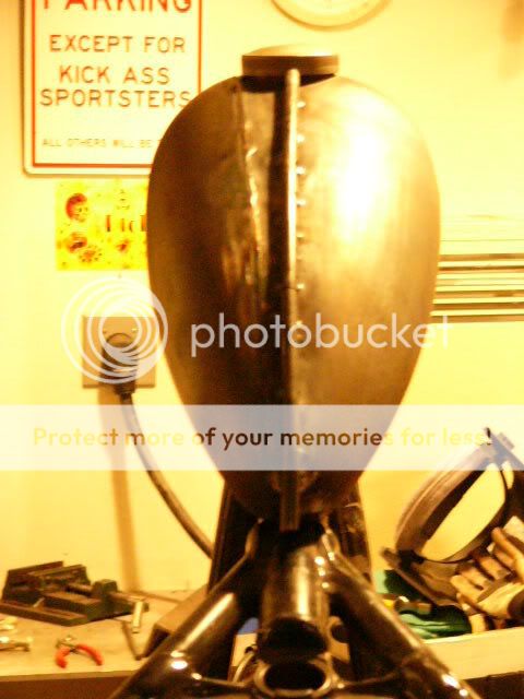 Let's See Them Narrow Tanks | Jockey Journal Forum